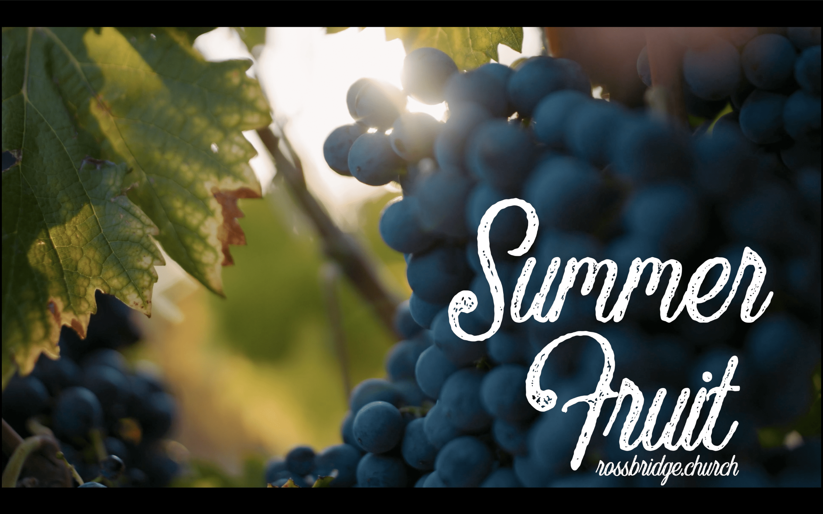Summer Fruit – Church at Ross Bridge